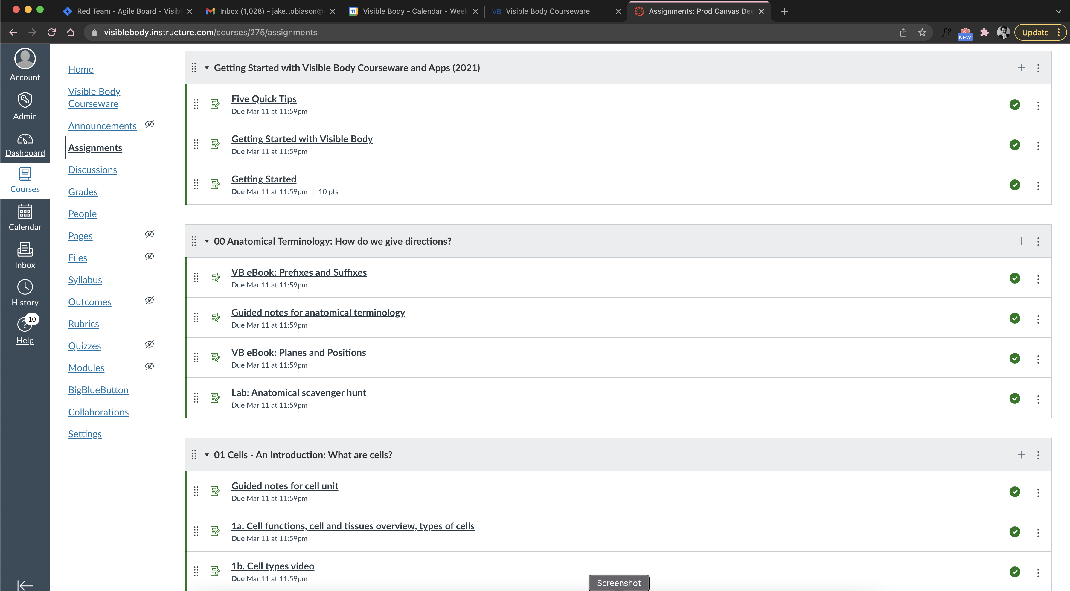 LMS: Canvas Integration Setup – Visible Body